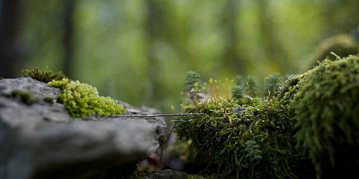ISO - Good data, better decisions: ISO showcases new environmental ...